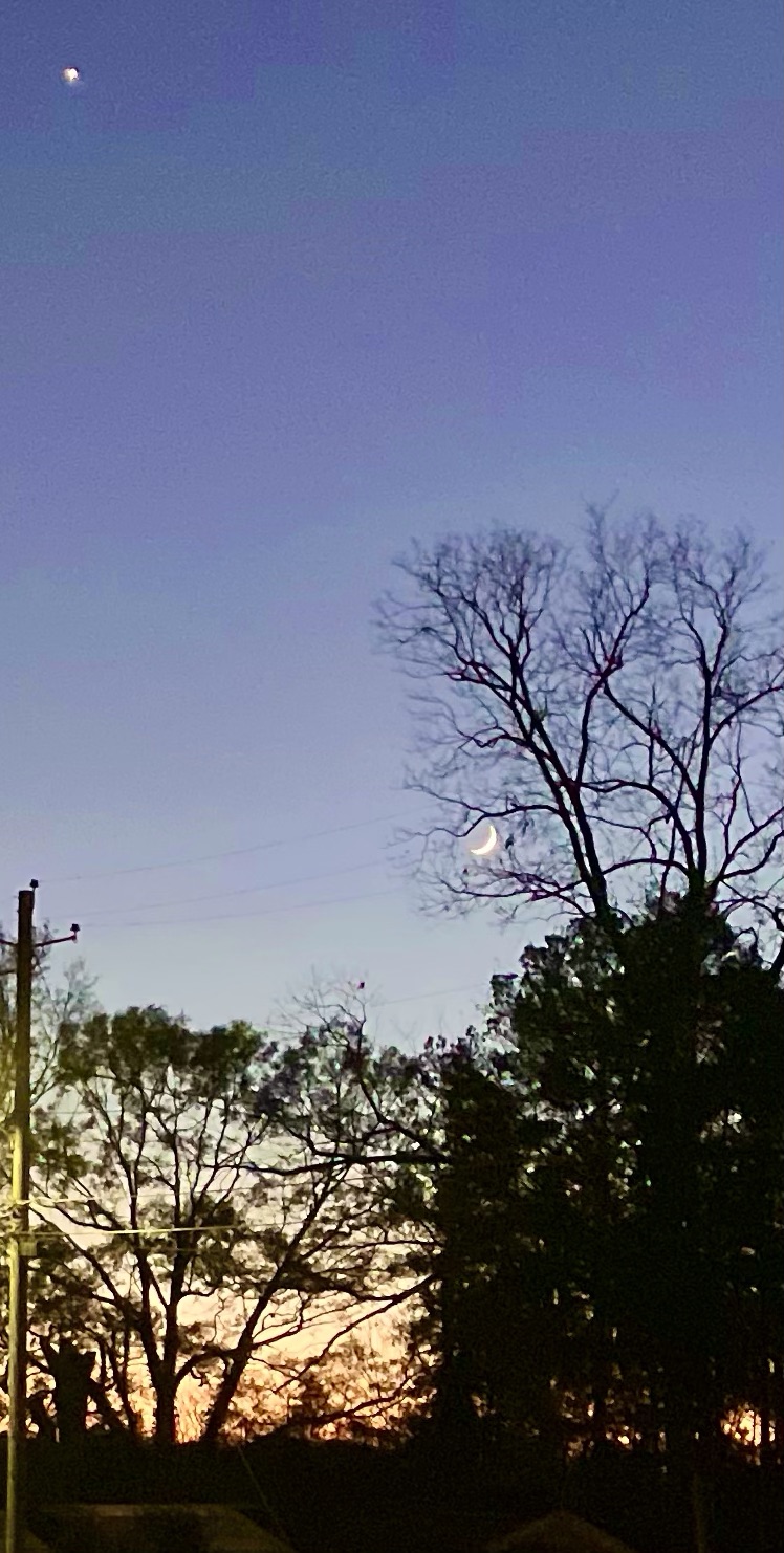 “Fashion your life as a garland of beautiful deeds…” – Ponderings from ...