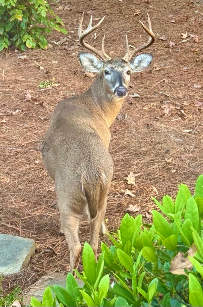 Father Sky sketched a beautiful blue ocean sky… – Ponderings from the ...